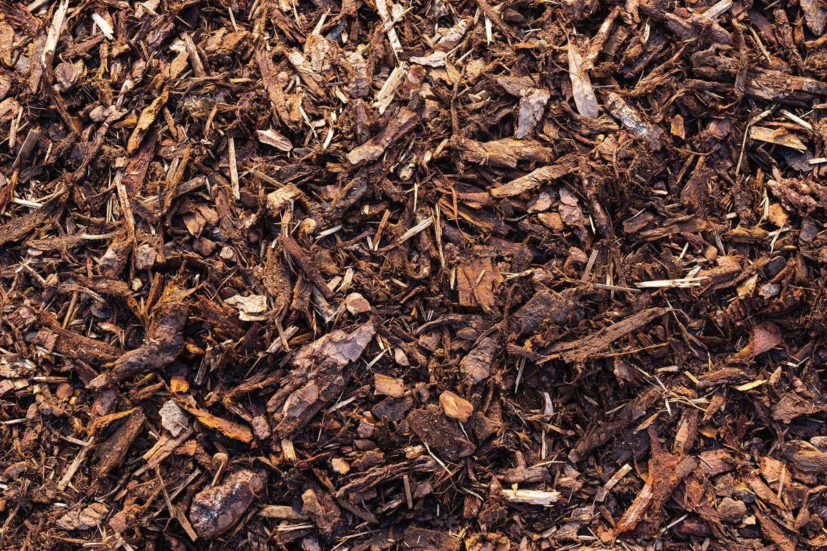 mulch-insulation-guide-protect-plants-extreme-temperatures — Cubag